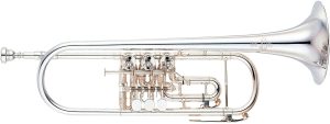 The Trumpet Evolution — International Journal of Music