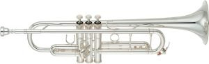 The Trumpet Evolution — International Journal of Music